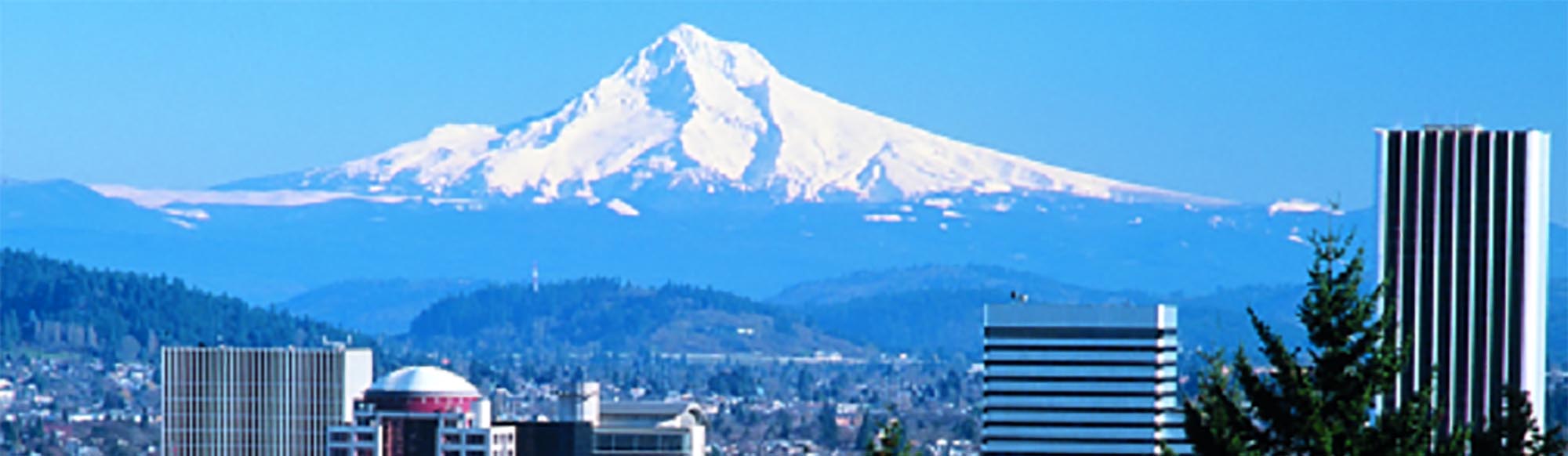 School of Professional Home Inspection – Seattle – Home Inspection ...